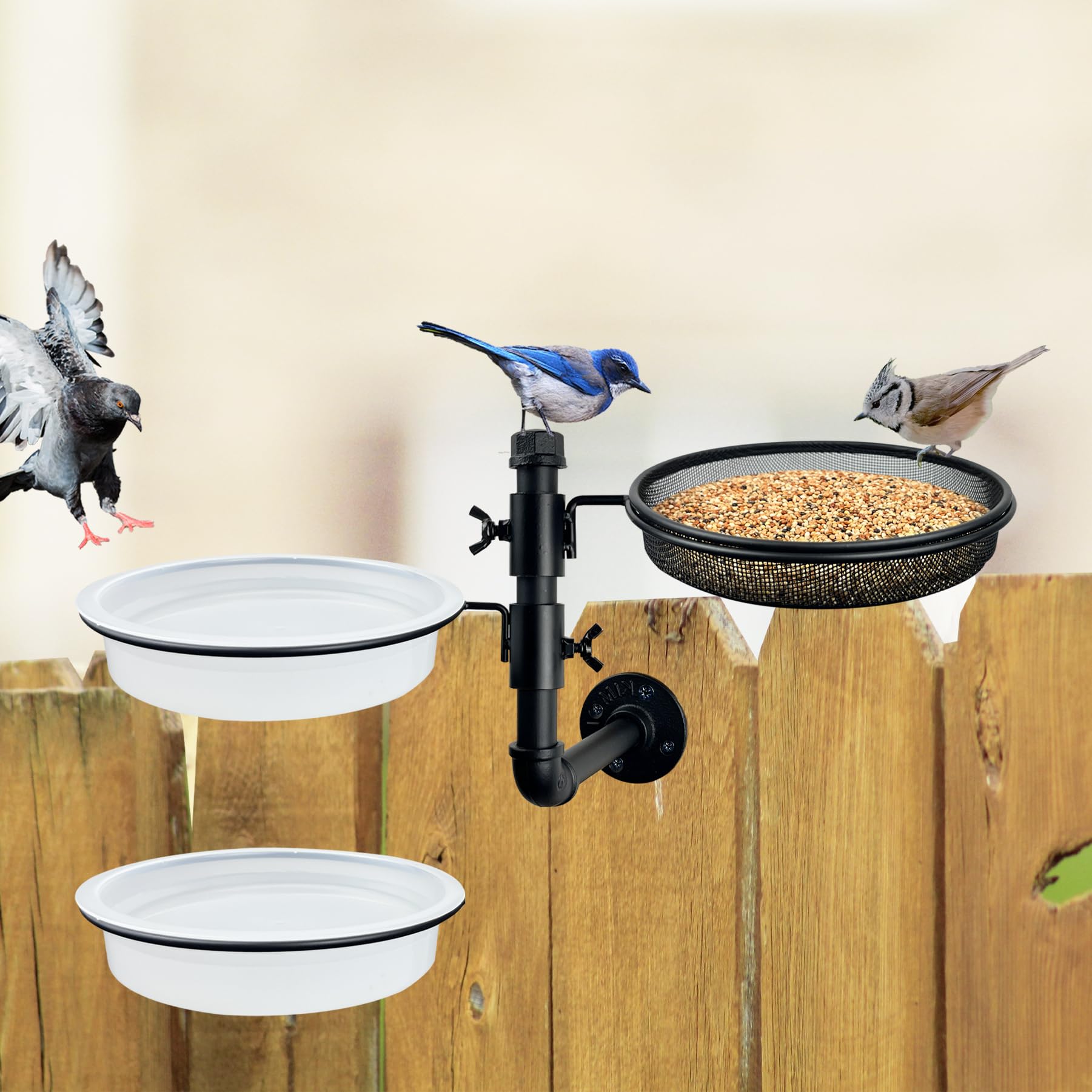 Amazon.com : CQAIRIOU Wall Mounted Bird Feeder with Metal Mesh Seed ...