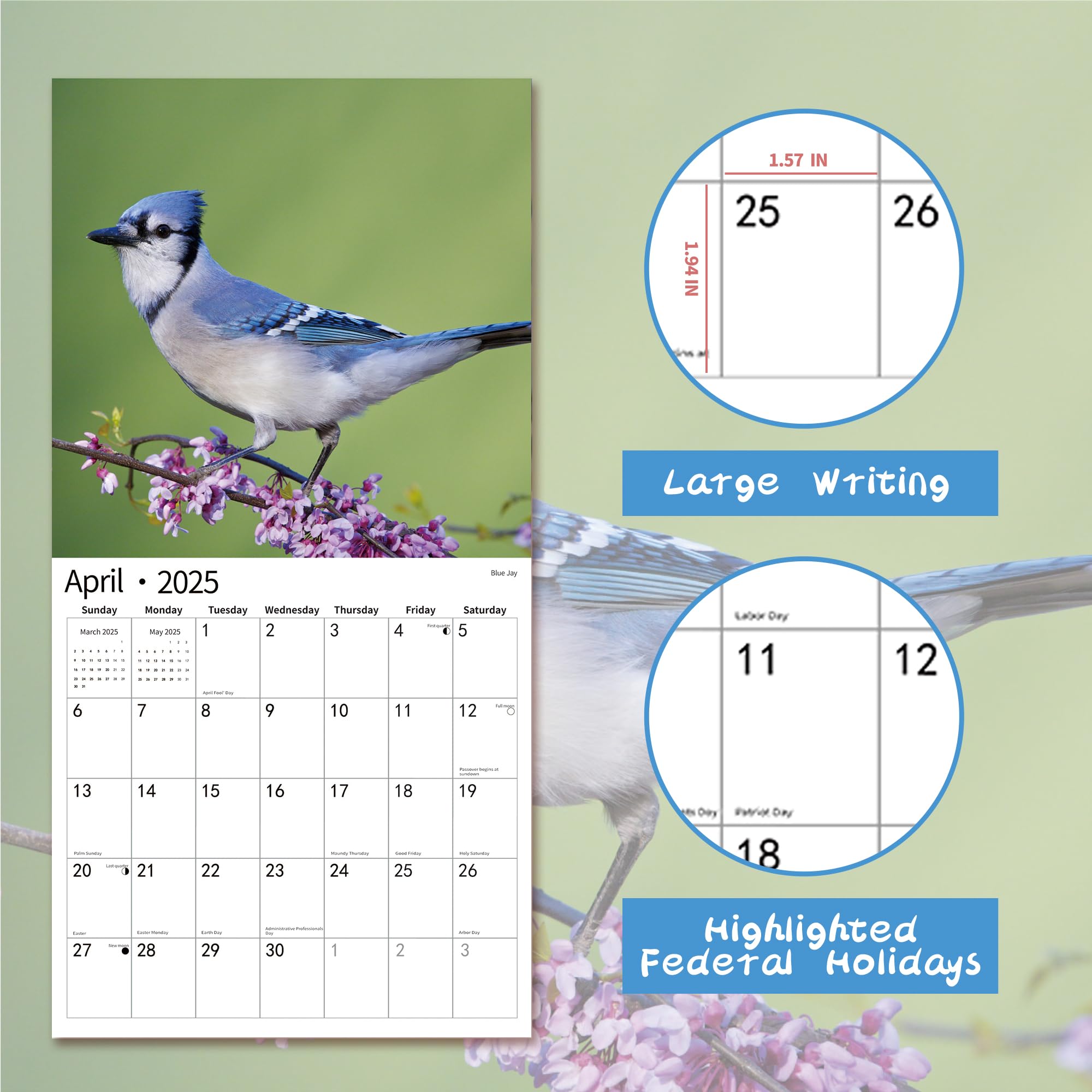 Snapklik.com : 2025 Wall Calendar,Calendar 2025, January 2025 ...