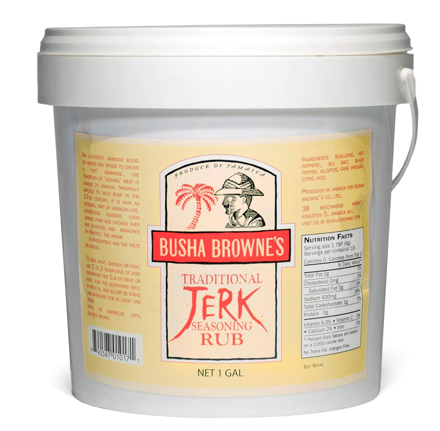 Amazon.com : Busha Browne Traditional Jerk Seasoning, 1 Gallon ...