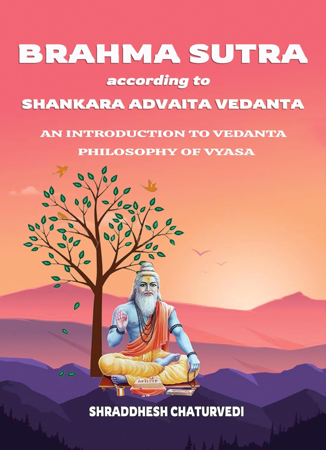 BRAHMA SUTRA ACCORDING TO SHANKARA ADVAITA VEDANTA: An Introduction to ...