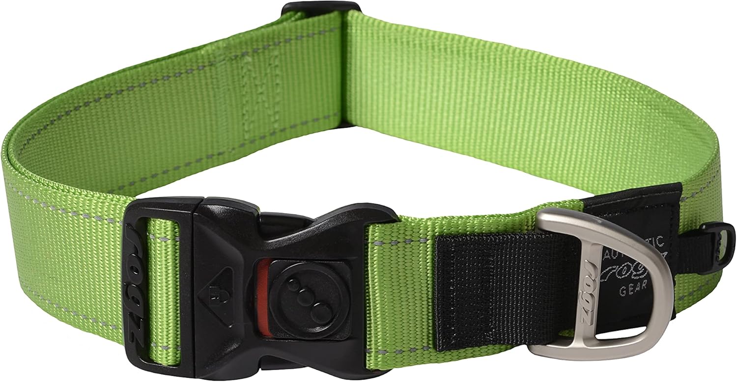 Amazon.com : ROGZ HB19-L Utility Collar/Landing Strip, XXL, Green : Pet ...
