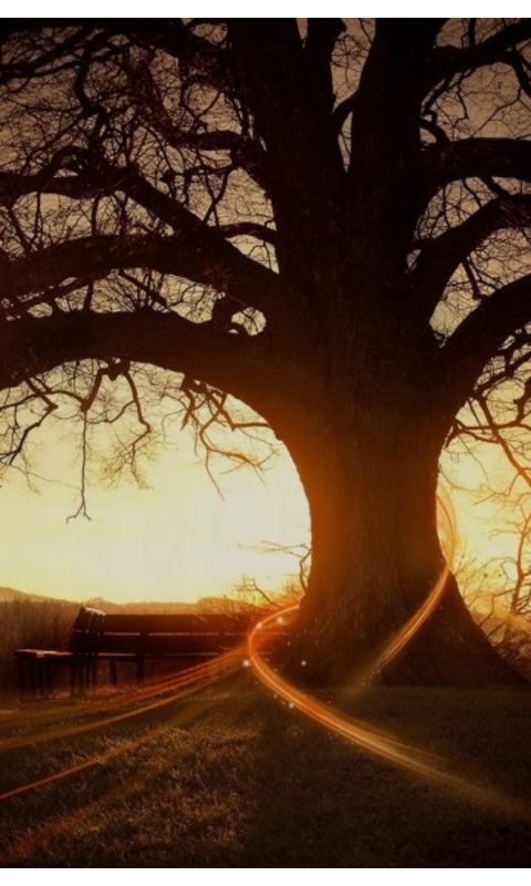 Kingz HD ANDROID WALLPAPERS:Amazon.de:Appstore for Android