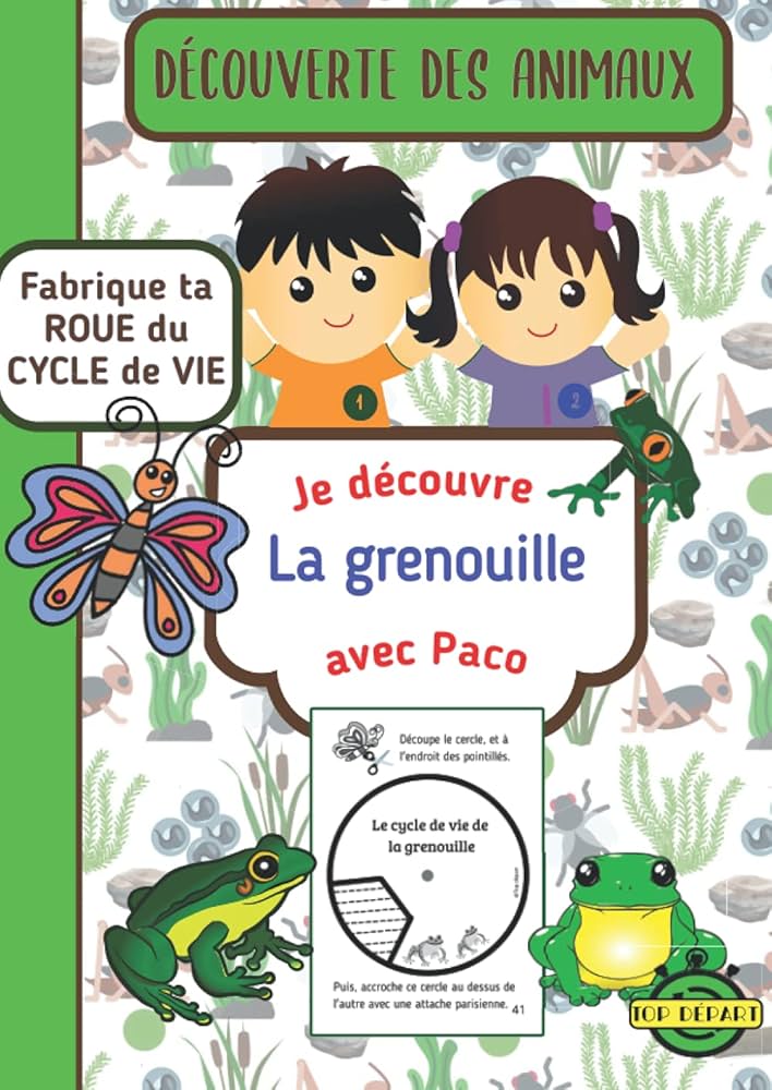 Coloriage Du Cycle De Vie De La Grenouille