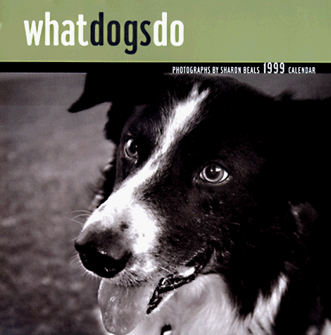 Amazon.co.jp: Cal 99 What Dogs Do Calendar : Beals, Sharon: 洋書