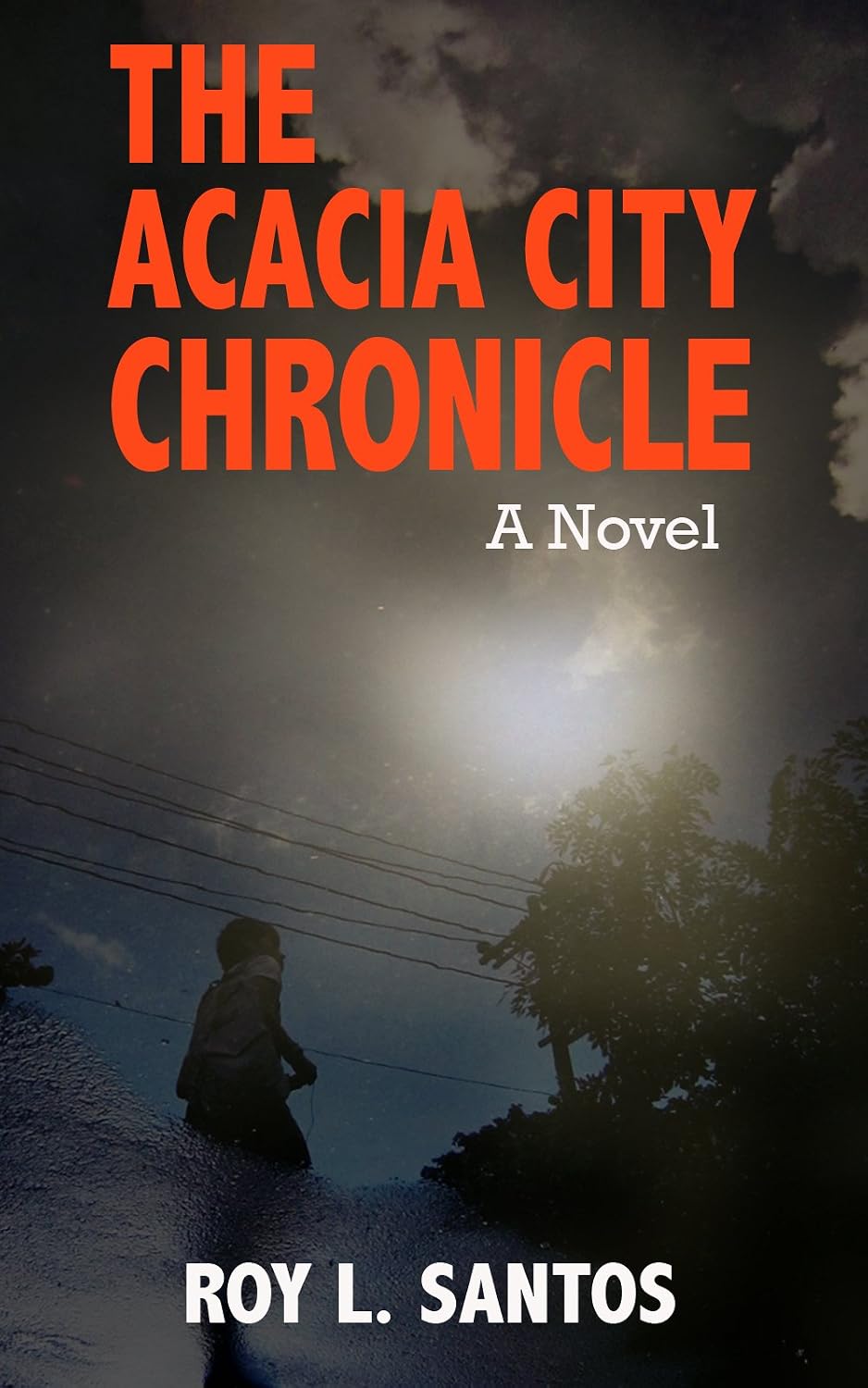 Amazon.com: The Acacia City Chronicle (The Acacia City Chronicle ...