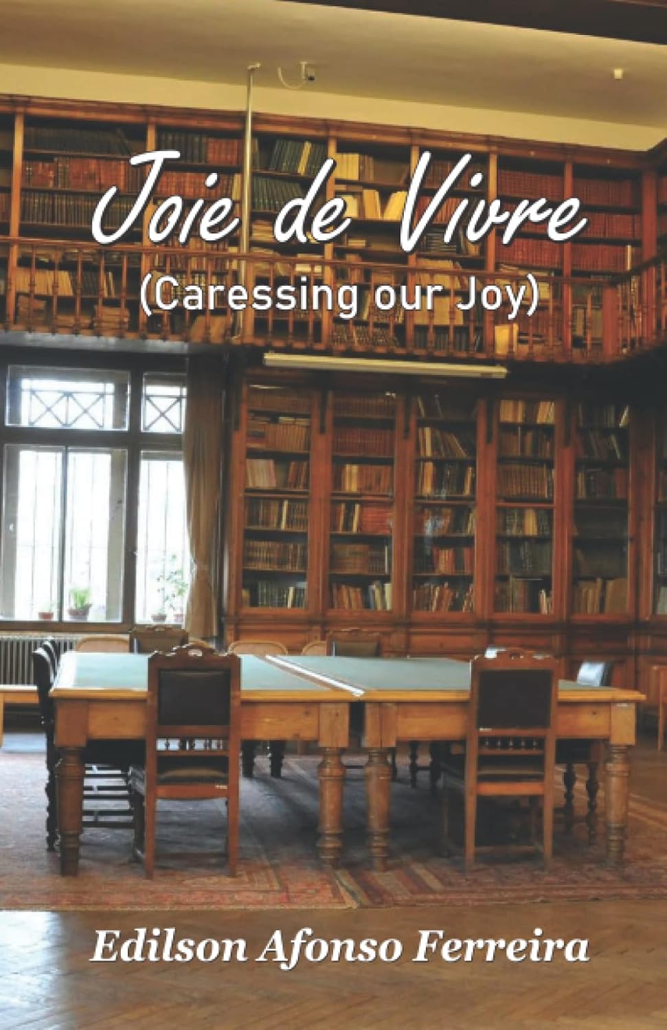Amazon.com: Joie de Vivre: (Caressing our Joy): 9788182539167: Ferreira ...