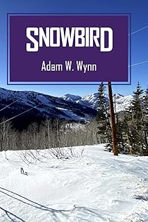 12 Must-Do Activities In Snowbird Utah | QuartzMountain