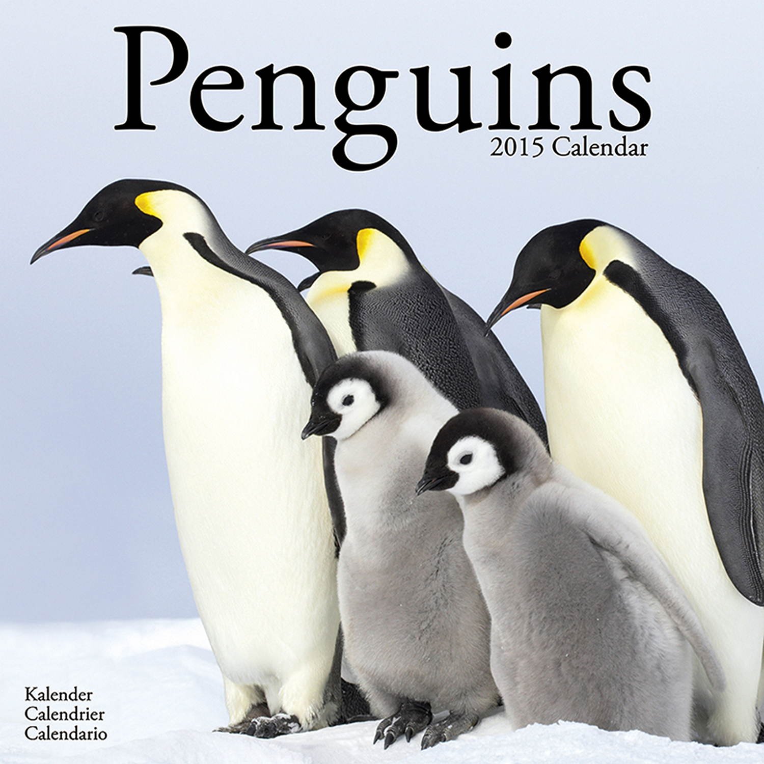 Penguins Calendar - 2015 Wall calendars - Animal Calendar - Monthly ...
