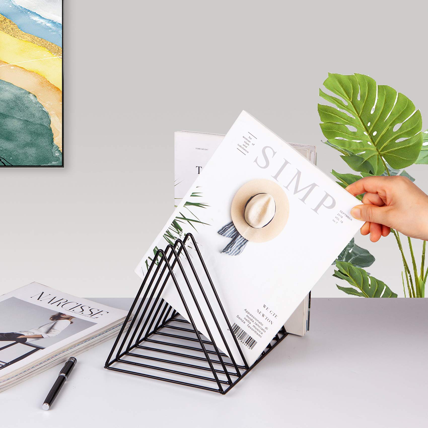 Buy Yazoo Metal Vinyl Record Holder for Albums 2-Pack - Magazine Rack ...