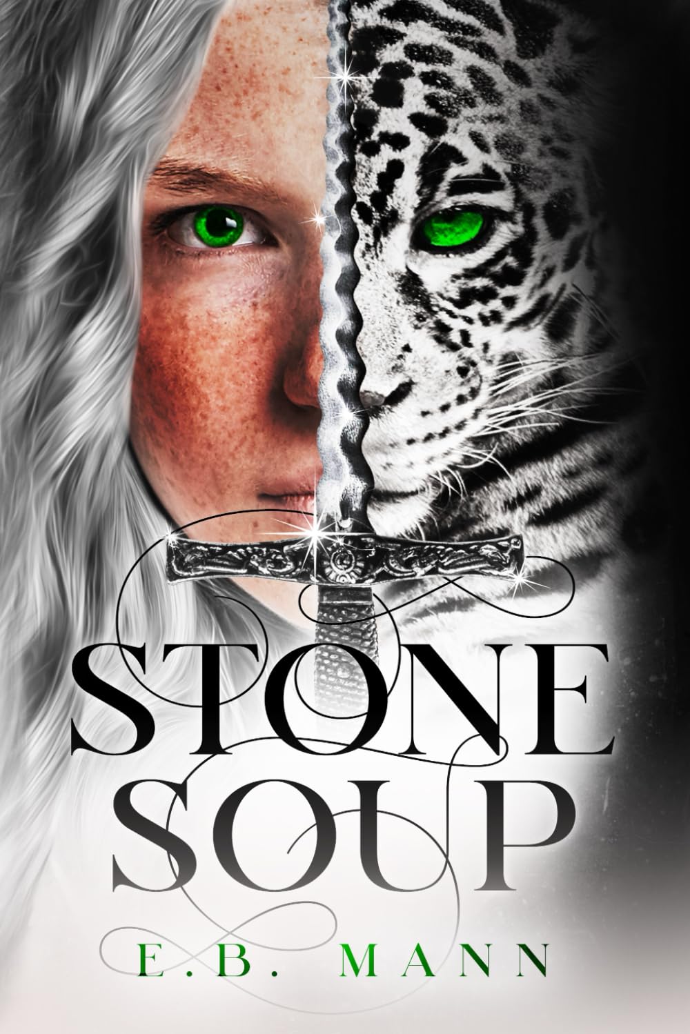 Amazon.com: Stone Soup: 9781732843028: Mann, E. B.: Books
