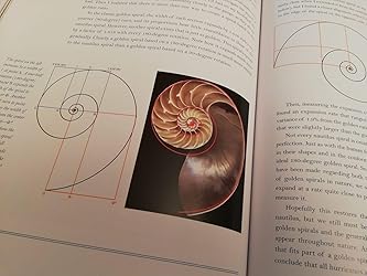 The Golden Ratio: The Divine Beauty of Mathematics : Meisner, Gary B., Araujo, Rafael: Amazon.it ...