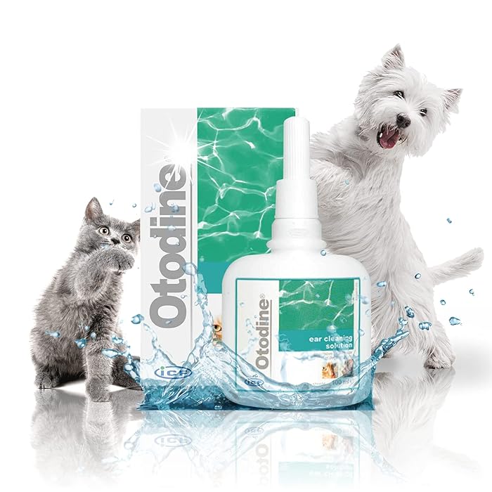 Buy ICF Otodine Dog Ear Cleaner - Drops to Stop Head Shaking, Itchy ...