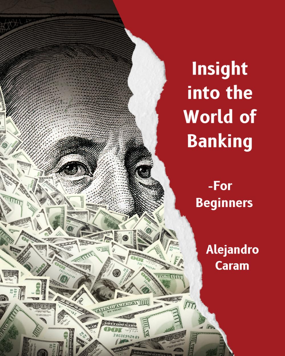 Amazon.com: Insight Into the World of Banking -For Beginners ...