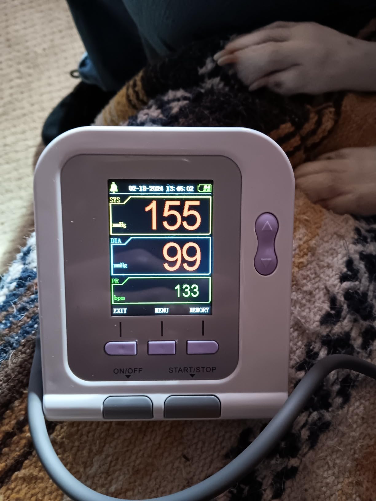 Amazon.com: Veterinary/Animal use Automatic Blood Pressure Monitor for ...