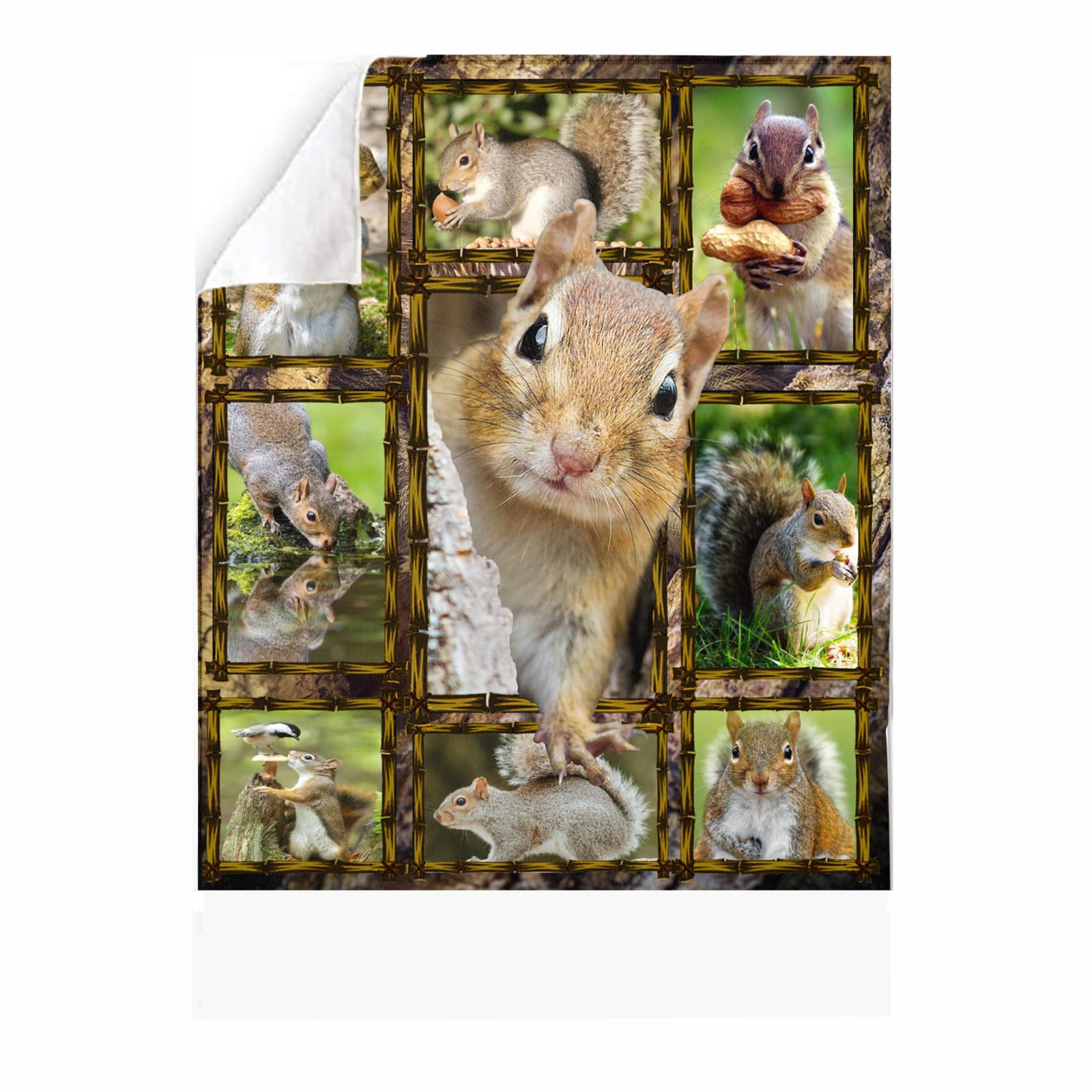 Amazon.com: TUIEOMSE Squirrel Blanket Fleece Squirrel Gifts for ...