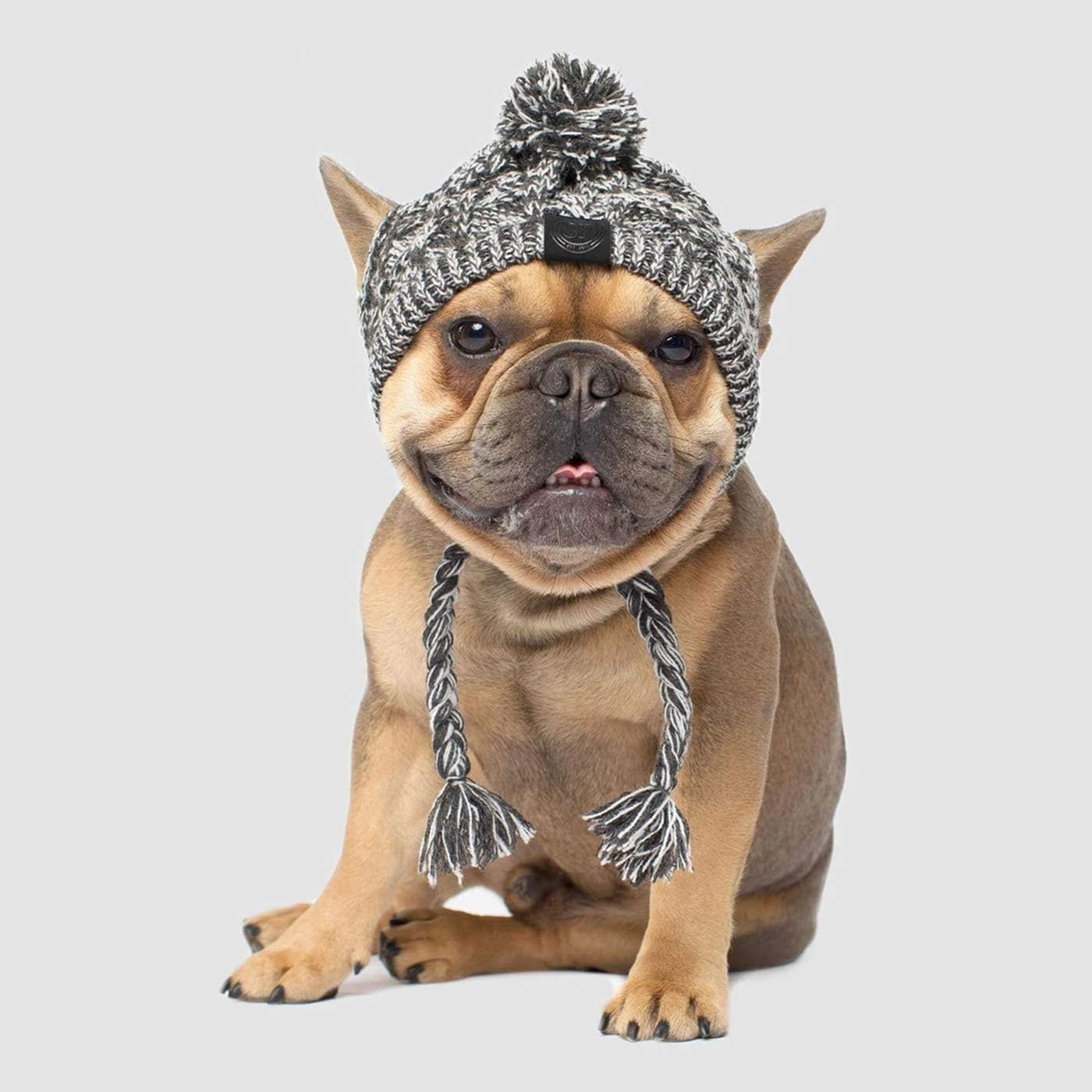 Rubies Propeller Hat for Pets : Amazon.co.uk: Pet Supplies