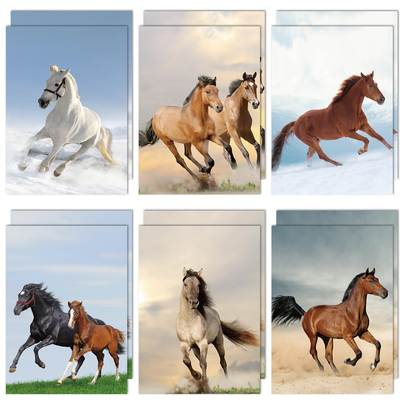 Amazon.com : Horse Decorative File Folder Set Horse 2-Pocket Folder Set ...