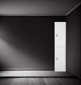 INFINI HOMES 2 Tier Metal Steel Storage Locker Cabinet with Plastic ...