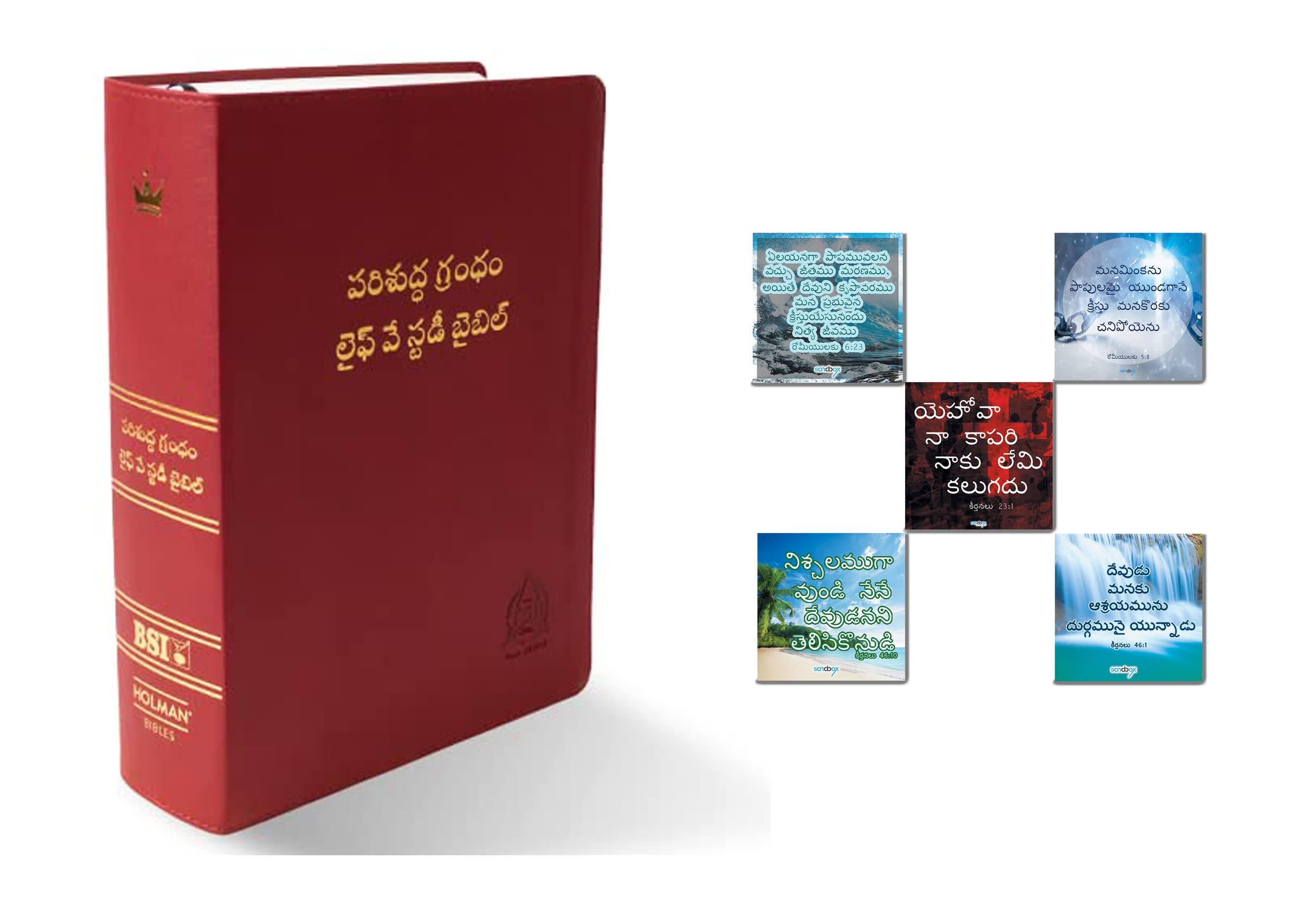 Lifeway Telugu Study Bible, Red PU Leather Touch Study Bible with QR ...