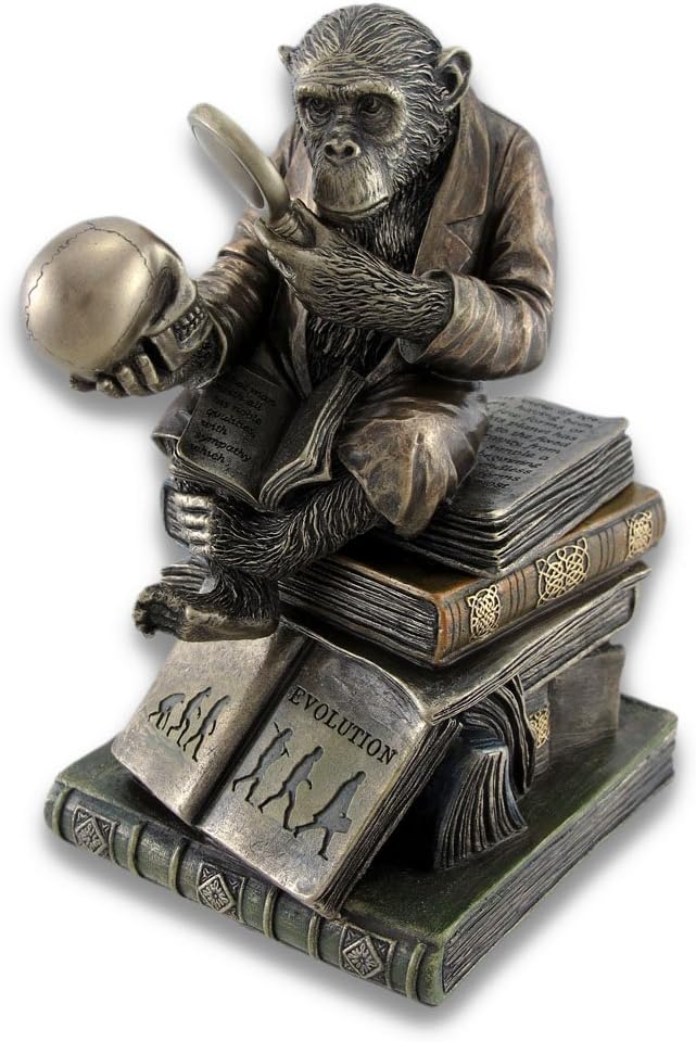 Smart Chimpanzee Scholar Trinket Box Stash Box : Amazon.co.uk: Home ...