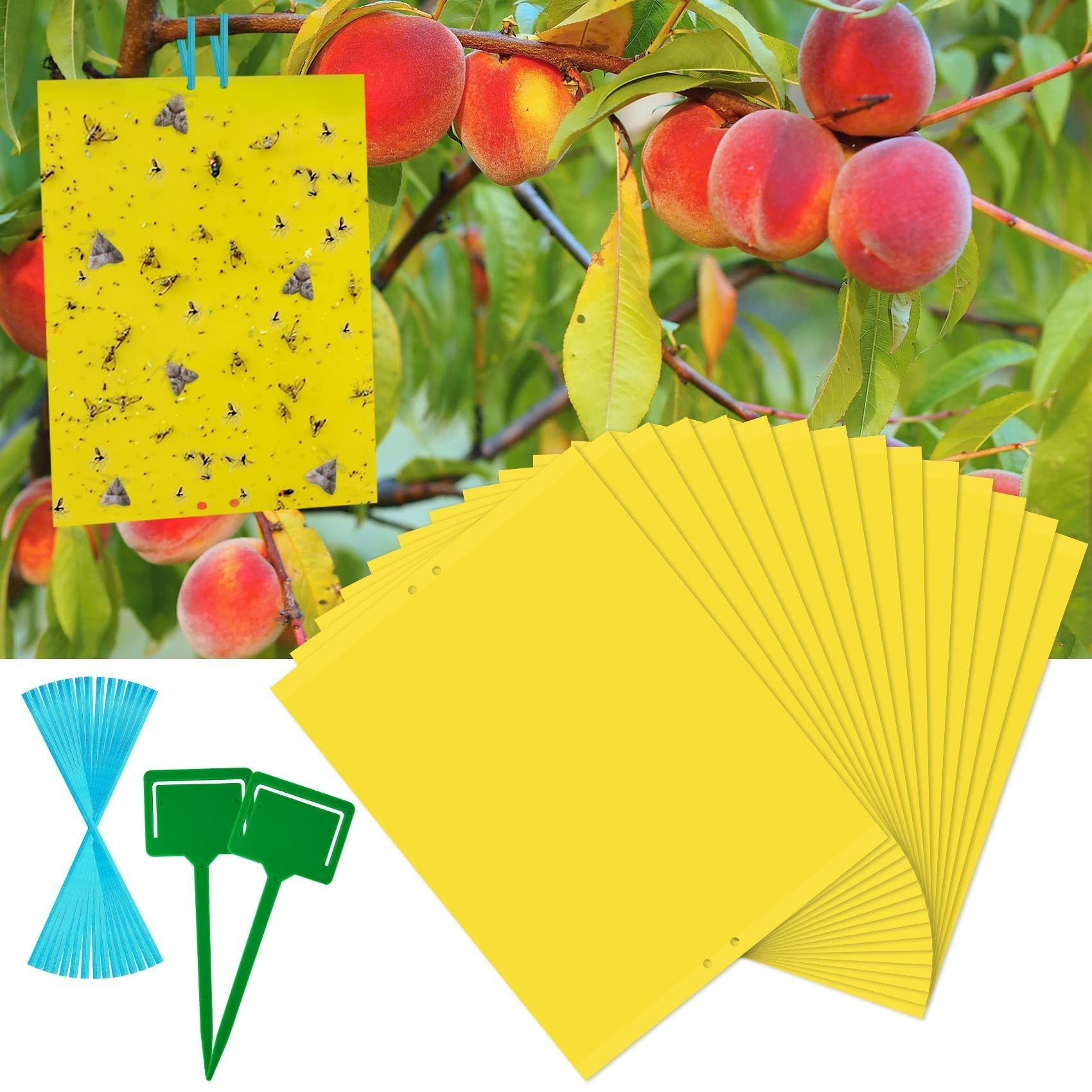 Buy 30 Pack Yellow Sticky Traps for Gnats Fruit Fly Traps for Indoors ...