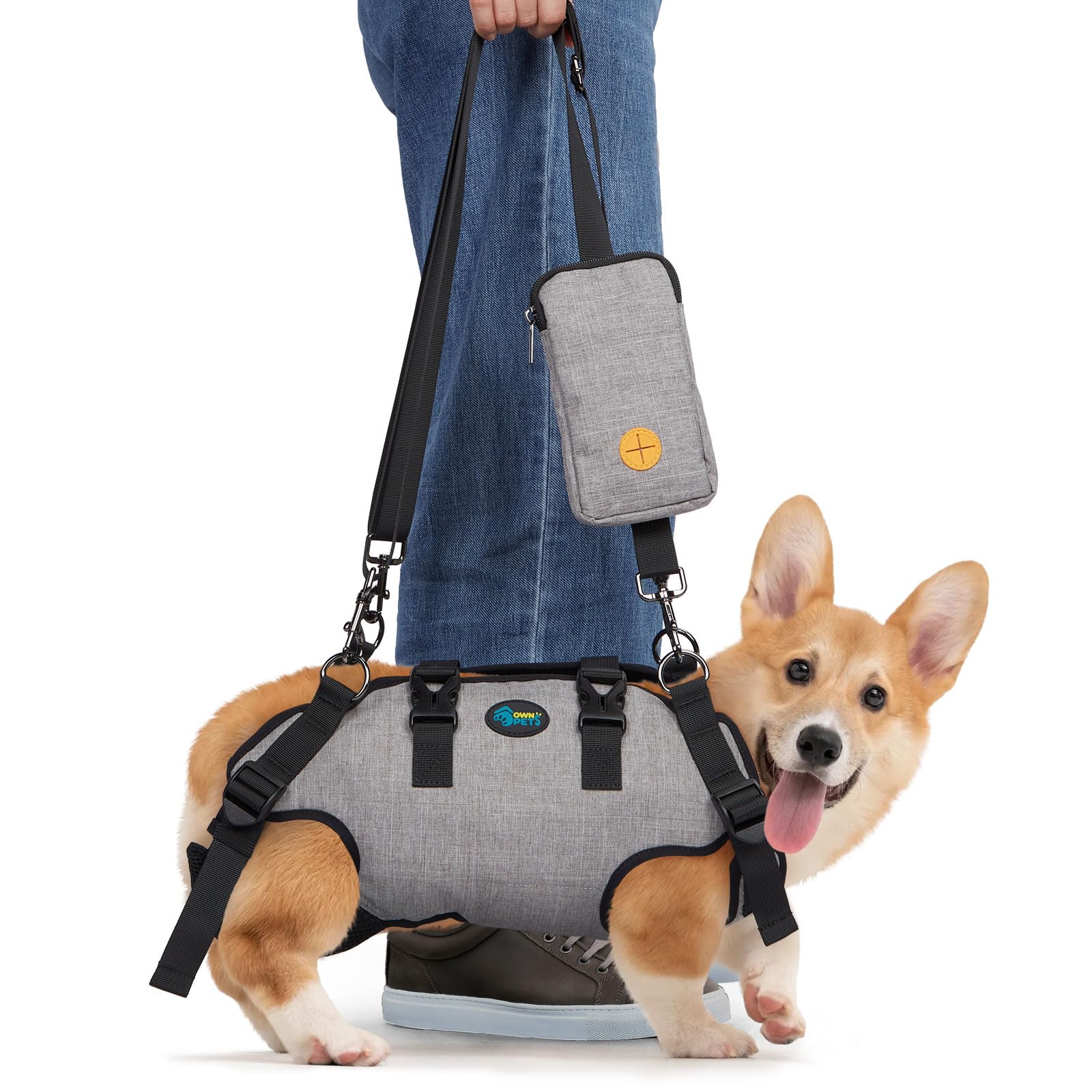 5 Best Harness For Dogs With IVDD | Stop Hurting Your Dog's Back