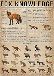 Amazon.com: Fox Knowledge Metal Tin Signs Fox Infographics Science ...