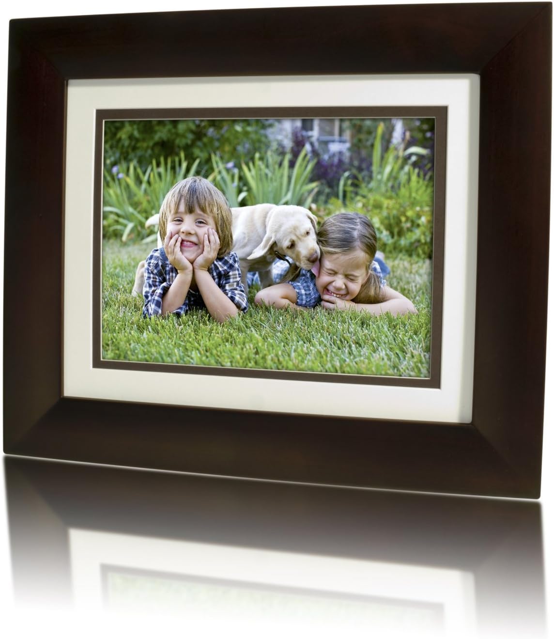 Amazon.com : HP 8" Digital Photo Frame - Espresso Wood - DF820A4 ...