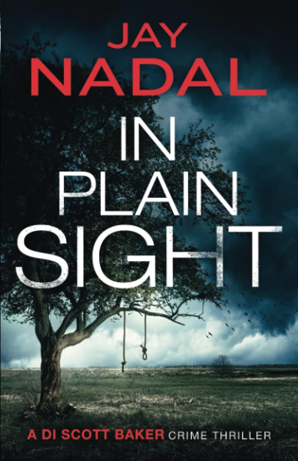 Amazon.com: In Plain Sight (DI Scott Baker): 9781837560776: Nadal, Jay: Books