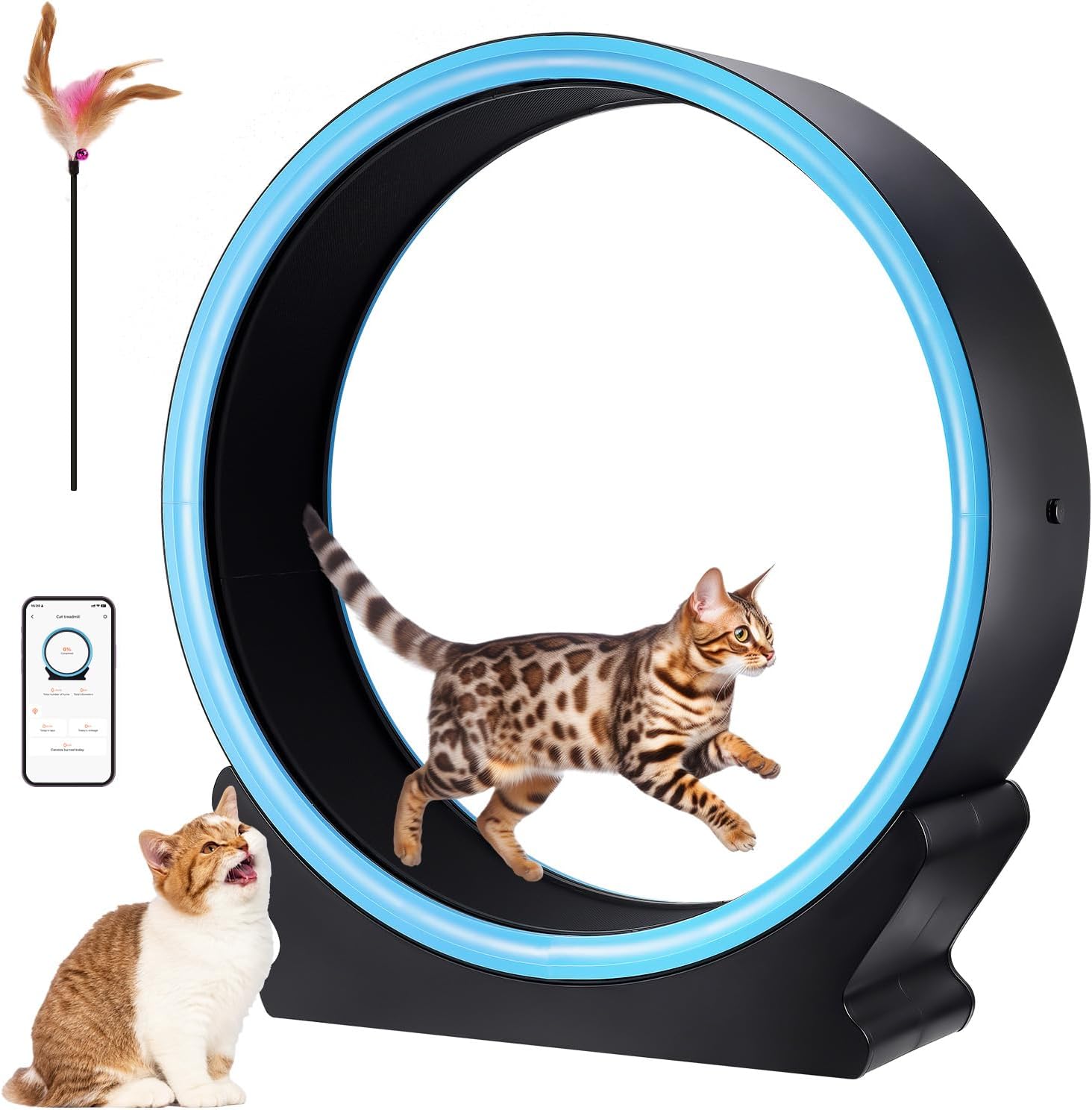 Amazon.com : HICHEE Cat Exercise Wheel with LED Light, 28dB Low Noise ...