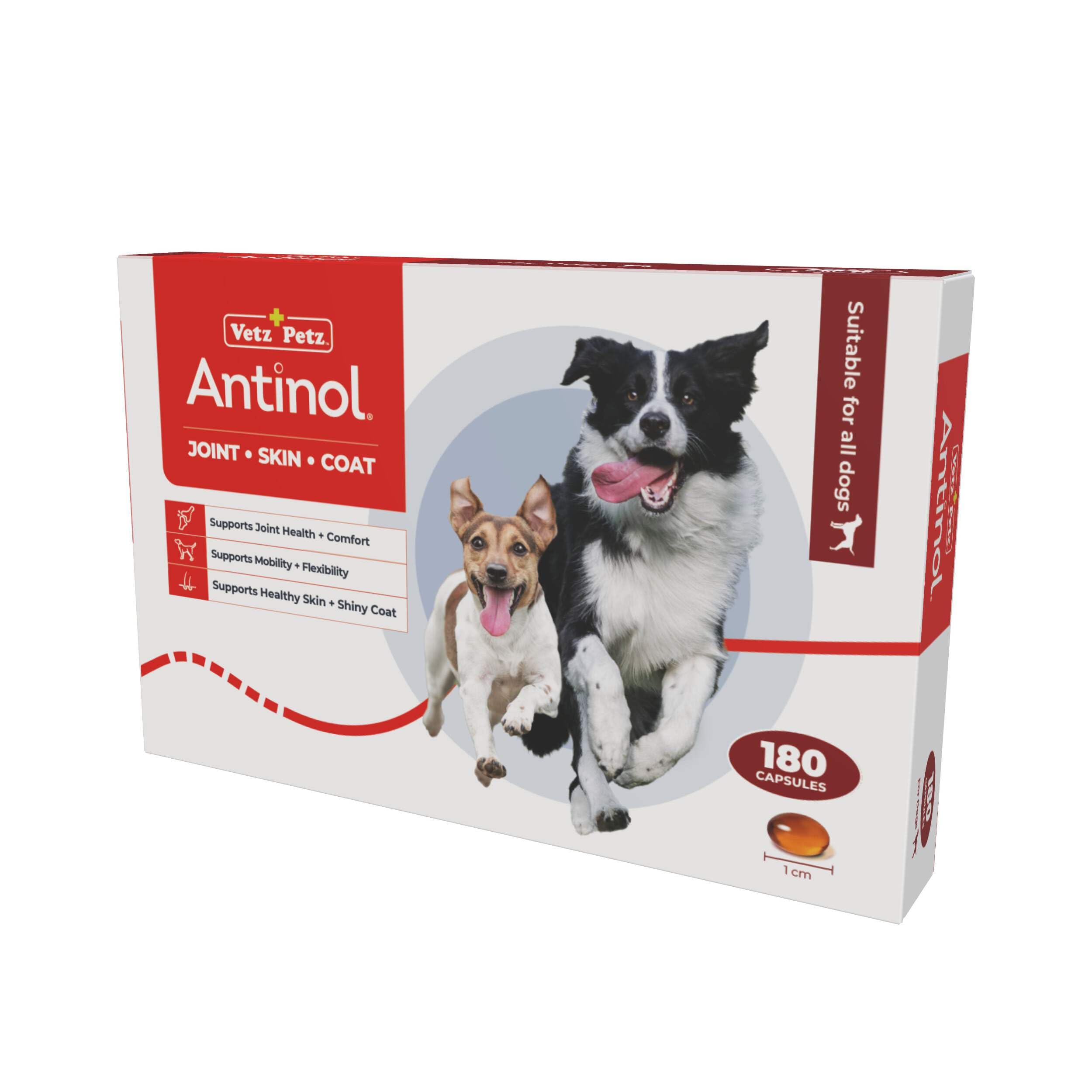Antinol - Natural Joint Supplement for Small Adult & Senior Dogs ...