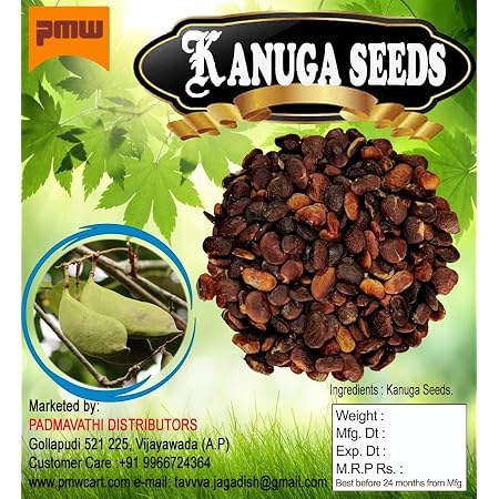 Buy SRI SAI FORESTRY Pongamia Pinnata, Kanuga Seeds, Honge, Pungai Tree ...