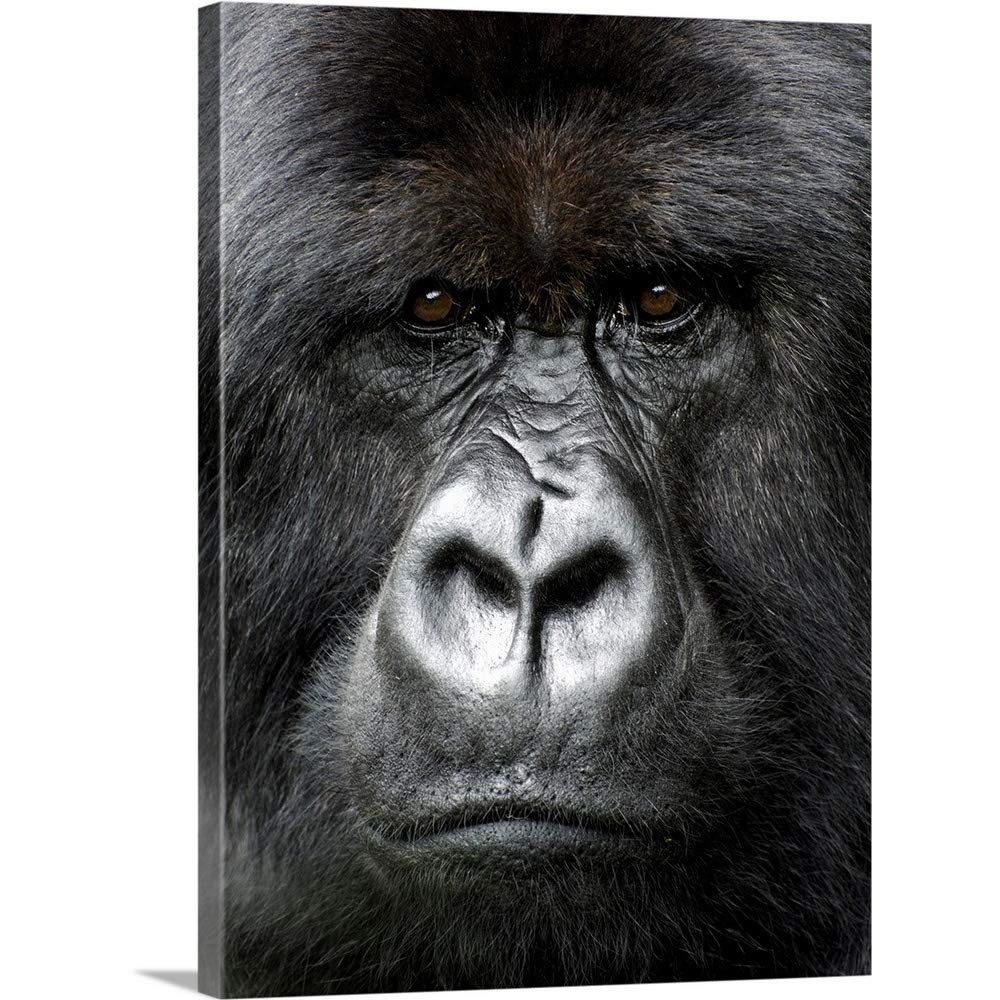 Silverback Gorilla Artwork