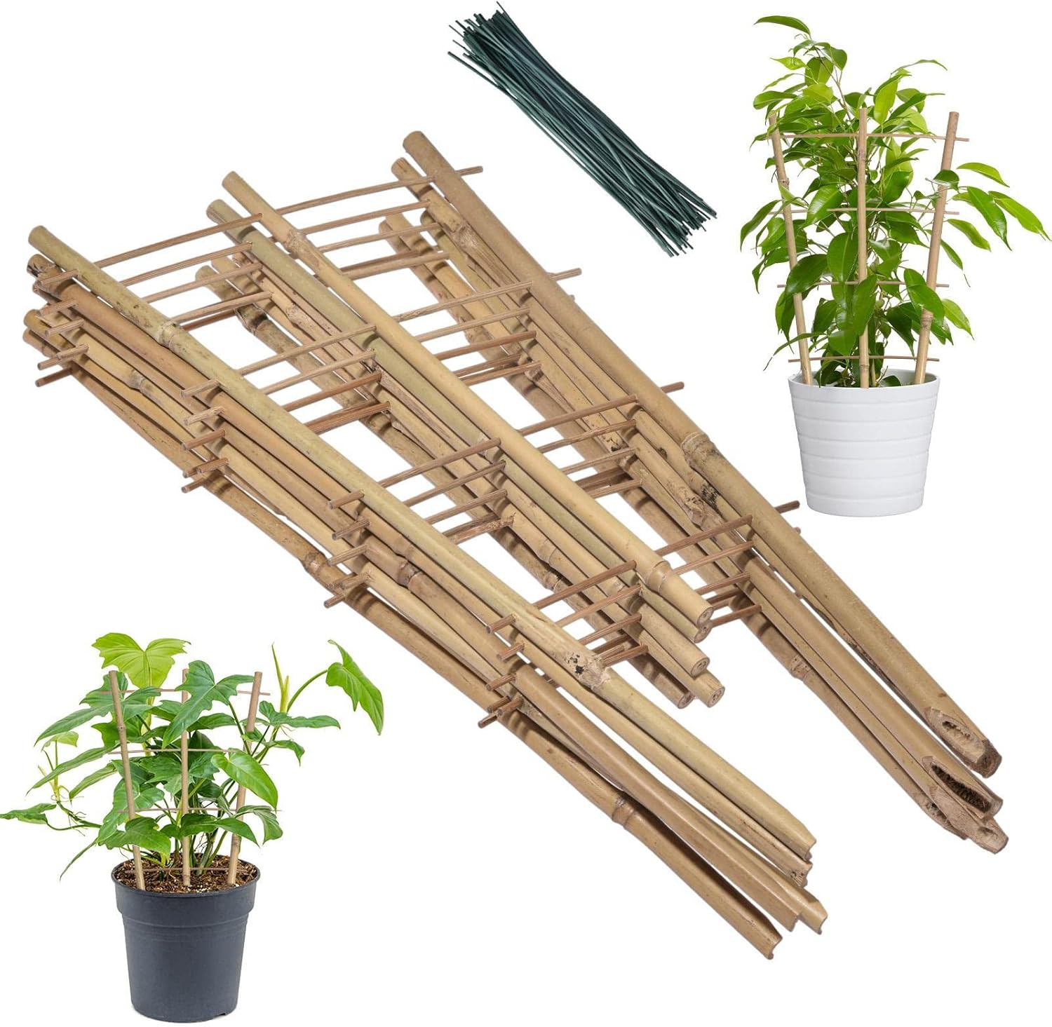 Garden Trellis | Square 6 Pack Natural Trellis,Garden Ladder Trellis ...