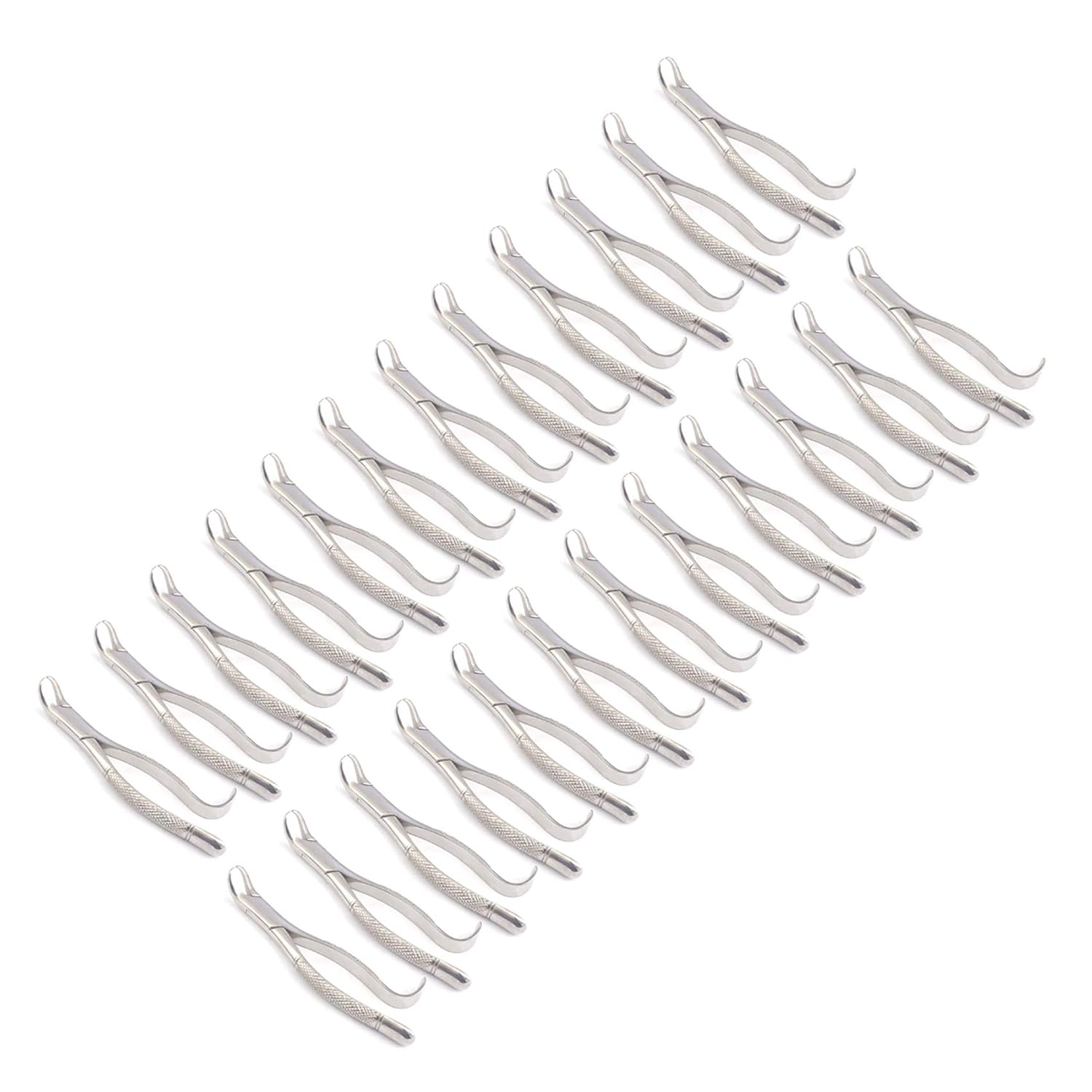 Amazon.com : OdontoMed2011® Set Of 24 Dental Extracting Forceps #16S ...
