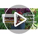 Amazon.com : Survival Seed Vault Kit – 100 Packs of Heirloom Vegetable ...