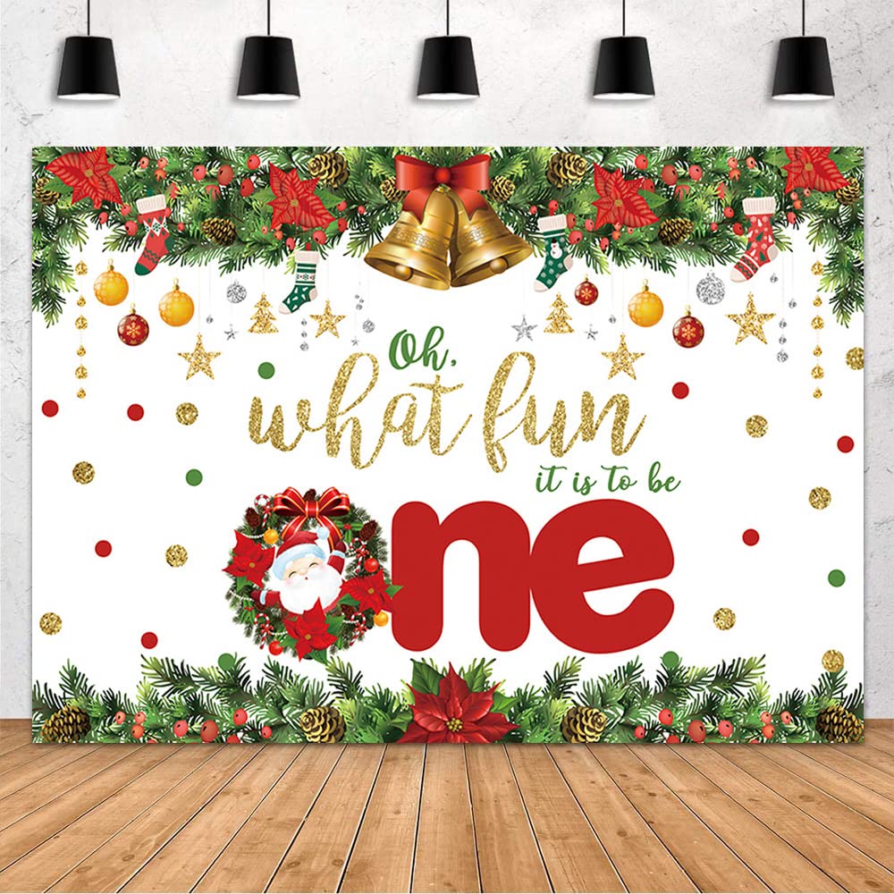 1st Birthday Themes For Christmas