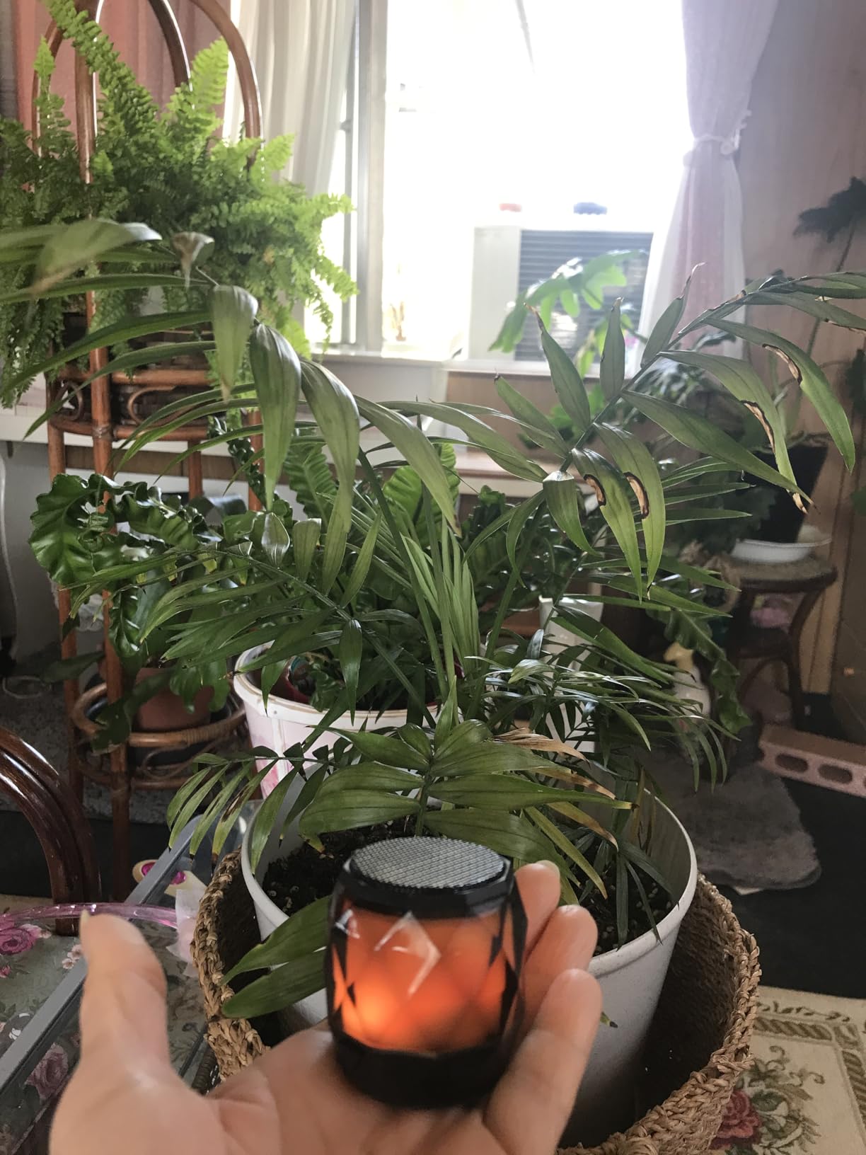 Amazon.co.jp: LFS mini Bluetooth スピーカー 小型 防水 お風呂 マグネット搭載 Type-C充電 TWS対応 マイク内蔵 ブルートゥース スピーカー ...