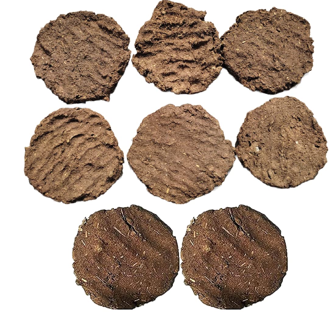 Shree Govardhan Cow Dung Cake Kanda Upla for Hawan Pujan (8) : Amazon ...