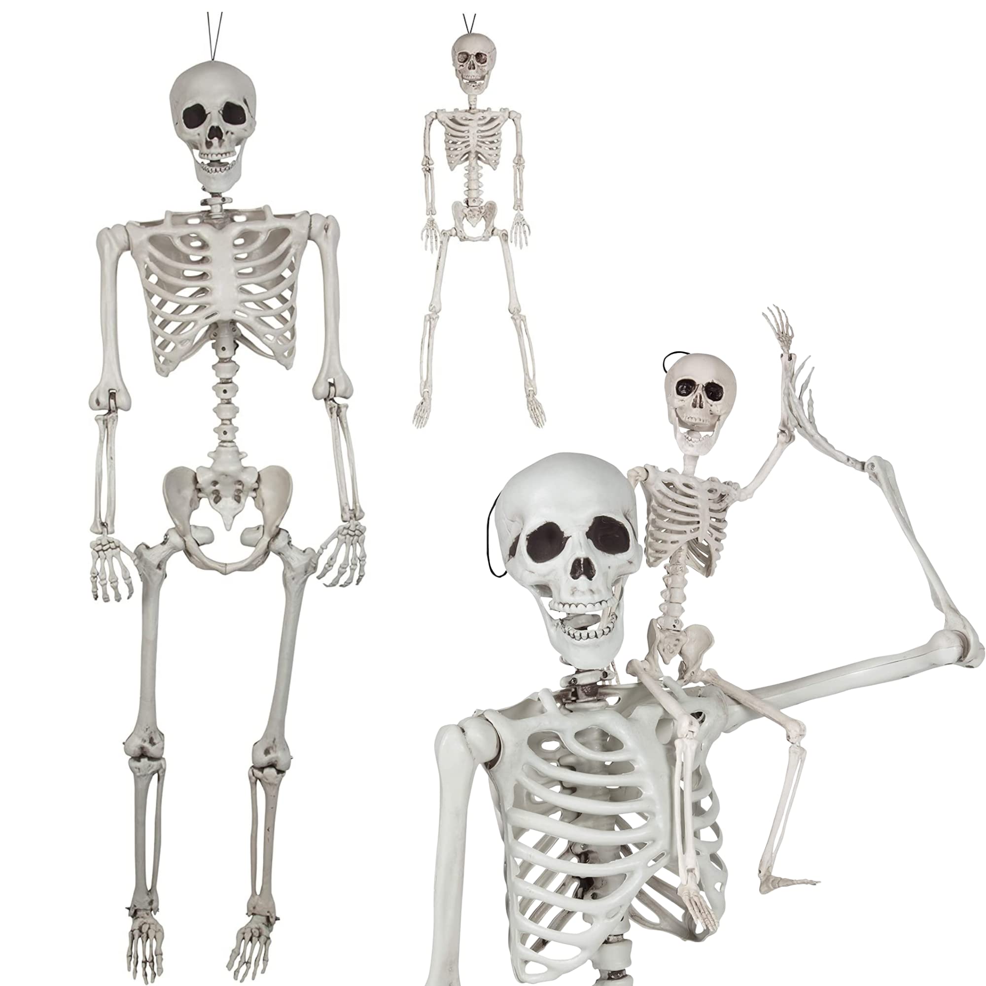 Halloween Life Size Skeleton Value 2 Pack - Adult (5' 4") and Child (2 ...