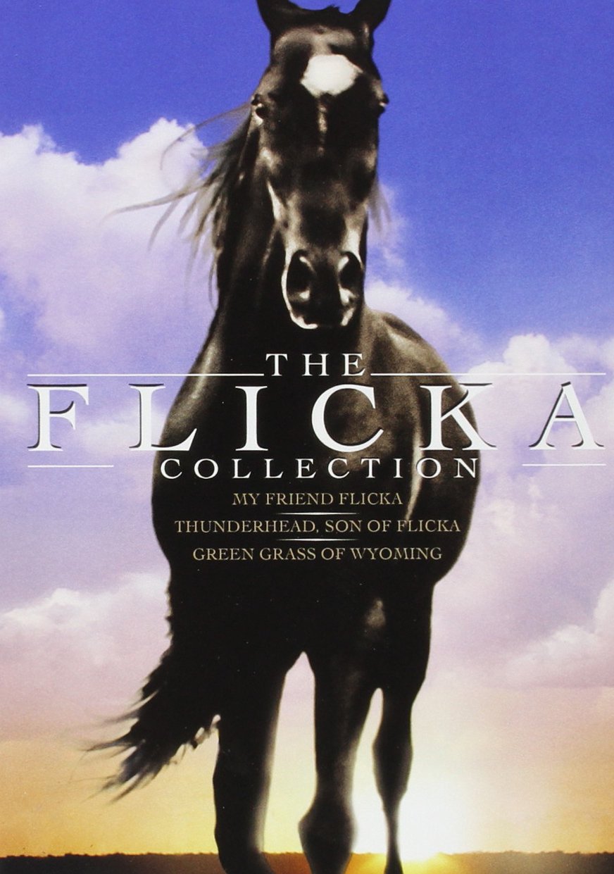 Amazon.com: Flicka Family Classics Collection (My Friend Flicka ...