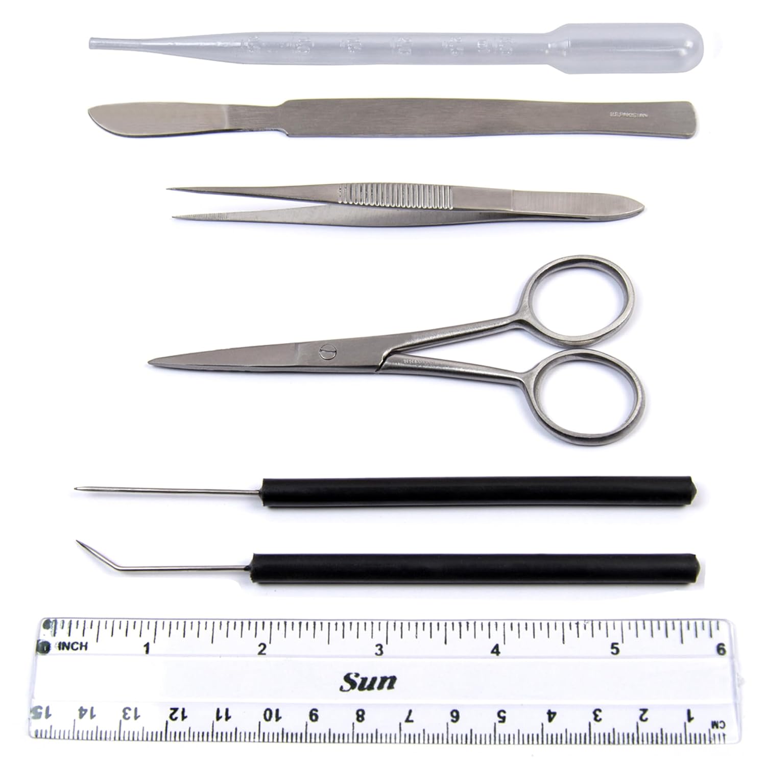 Amazon.com: DEXSUR Dissection Kit for Biology Lab & Anatomy - Stainless ...