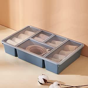 Amazon.com - SYLALE Compartment Kitchen Crisper Box, Refrigerated Food ...