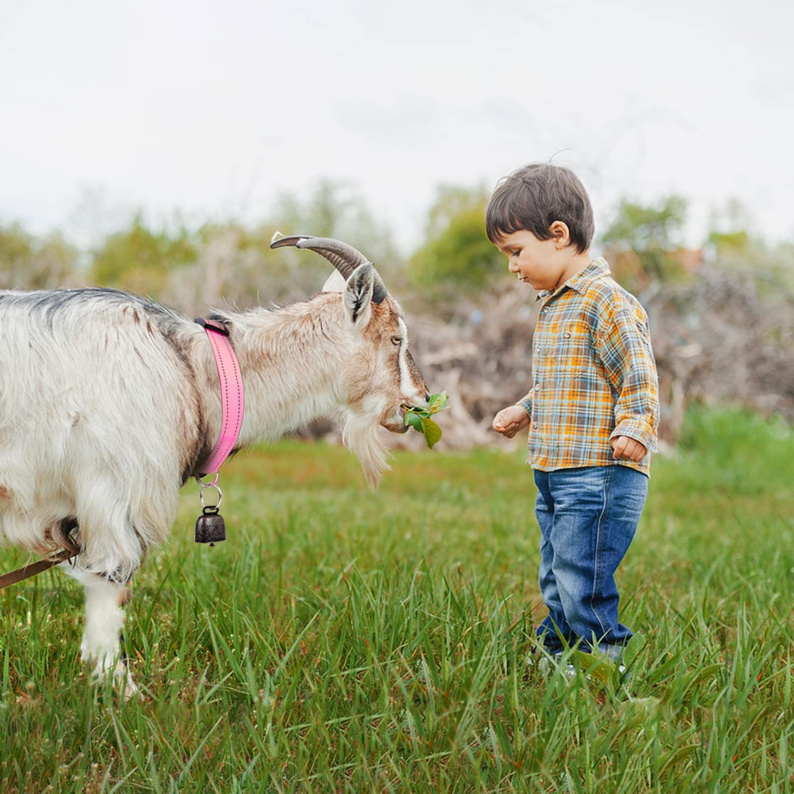 Reflective Livestock Collar With Bells 10 Pack Reflective Goat Collars ...