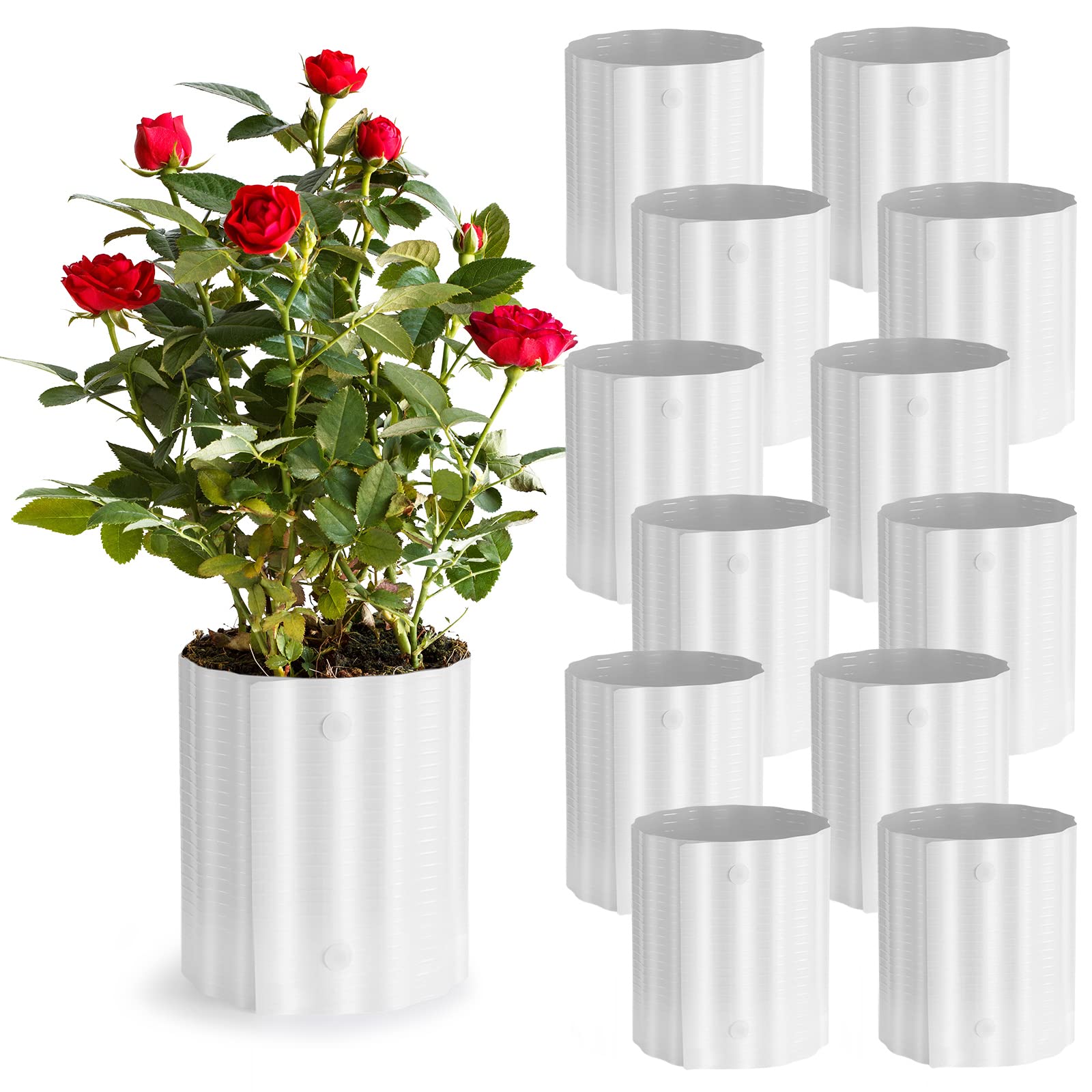 Rose Bush Covers For Winter Amazon.com : Queekay Winter Rose Collar
