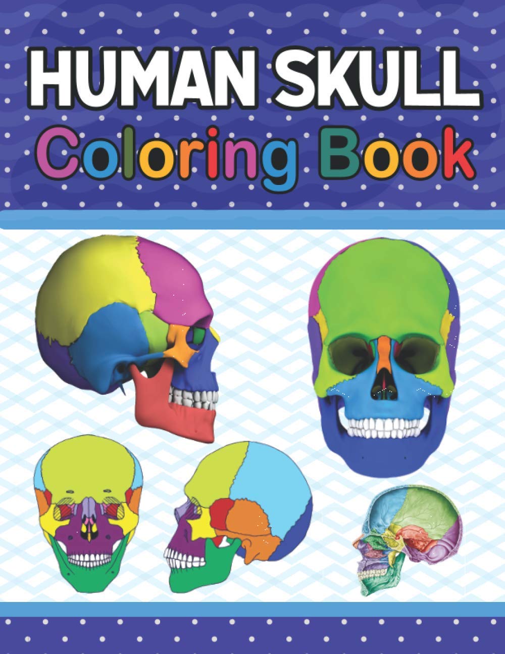 Buy Human Skull Coloring Book: Human Skull Anatomy Workbook For Kids ...