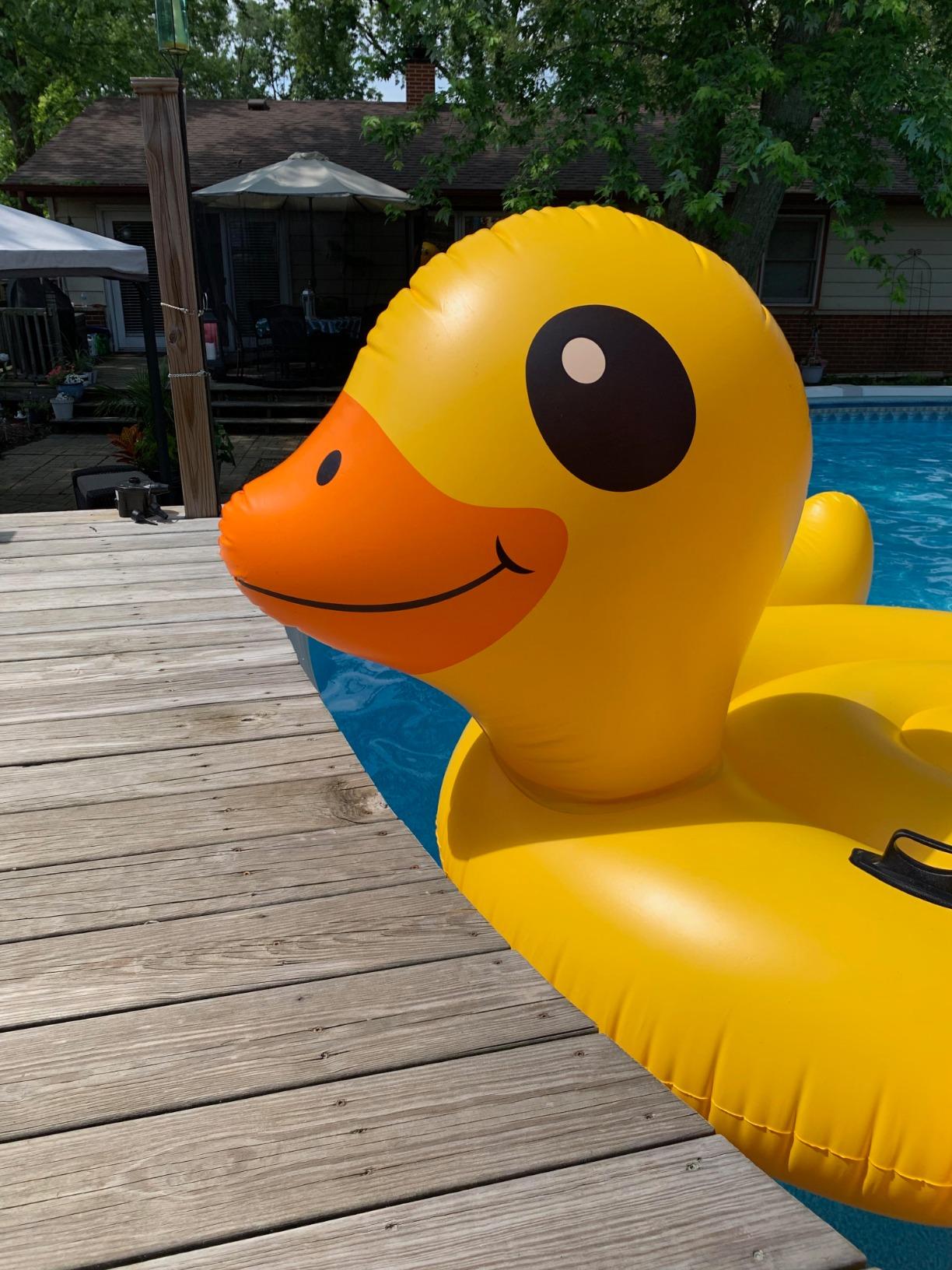 Amazon.com: Intex Mega Yellow Duck, Inflatable Island, 87" X 87" X 48 ...