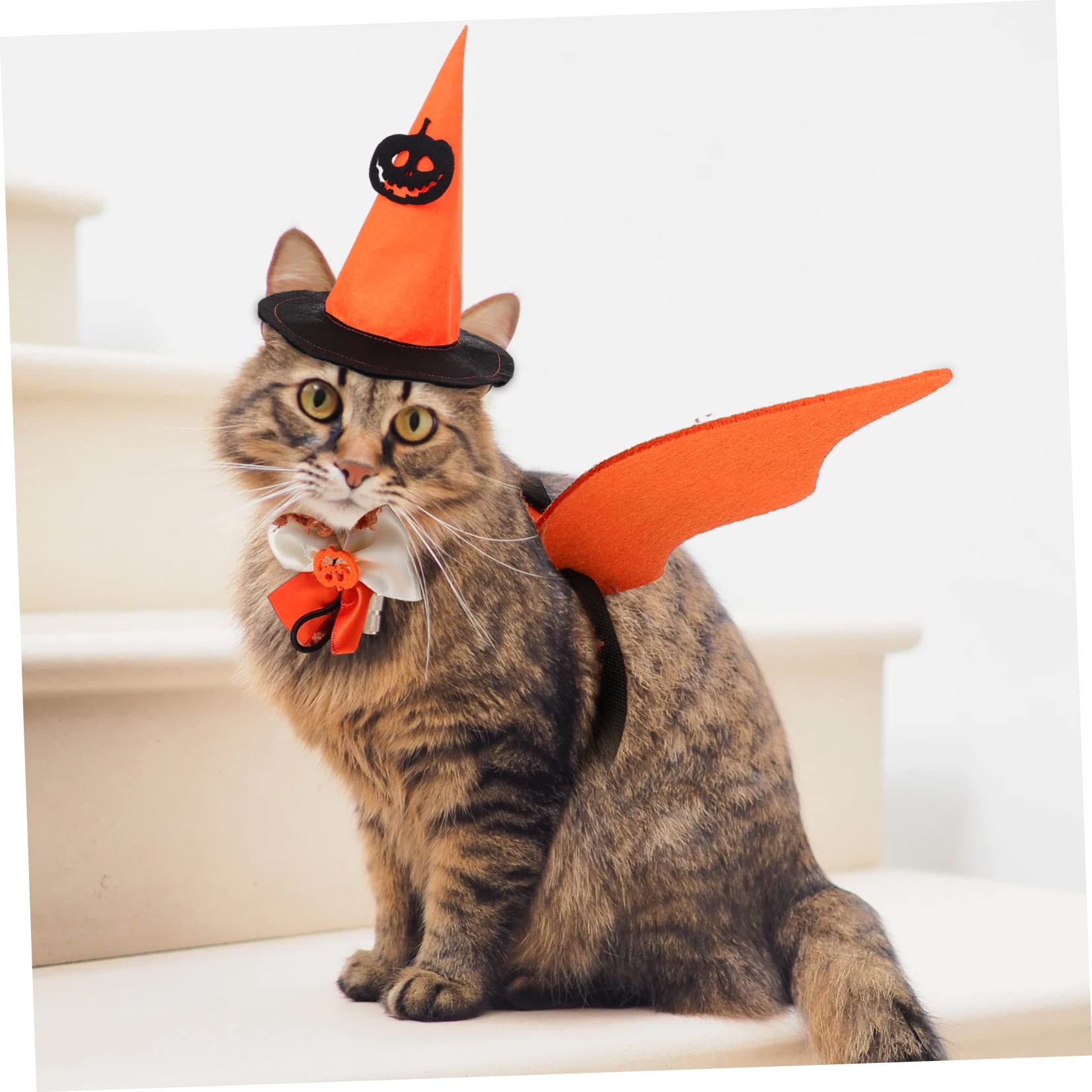 Cute Cat Halloween Costumes For Women