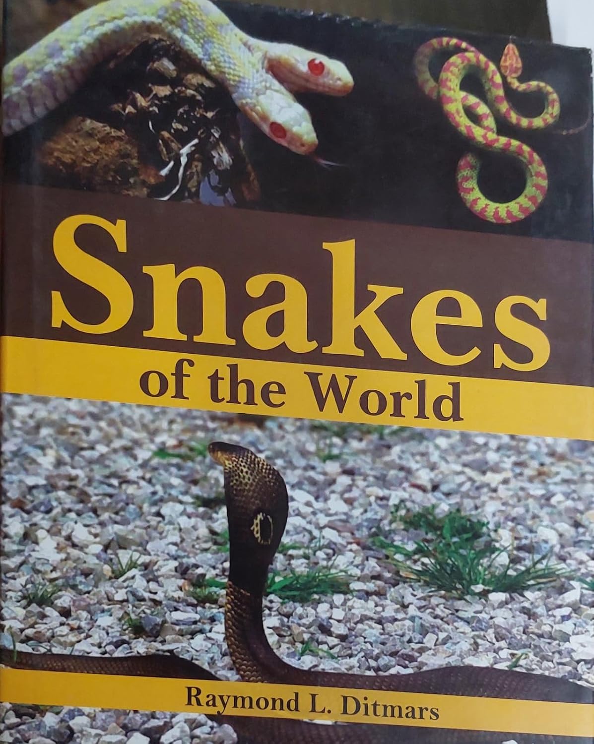 Neeraj Publishing House Snakes of the World: Raymond L. Ditmars ...