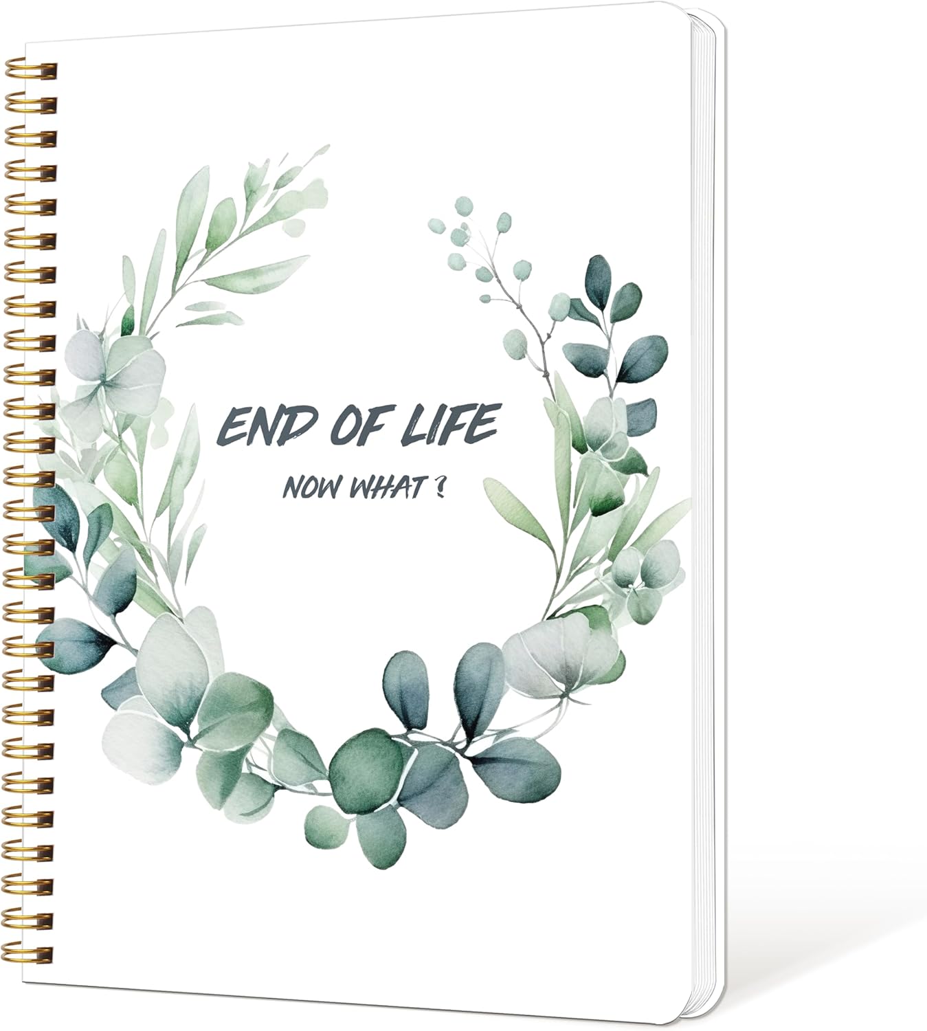 Amazon.com : DOURA End of Life Planner My Final Wishes Death Planner ...